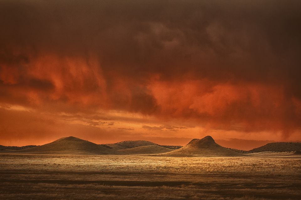 Seeing Red | Shutterbug